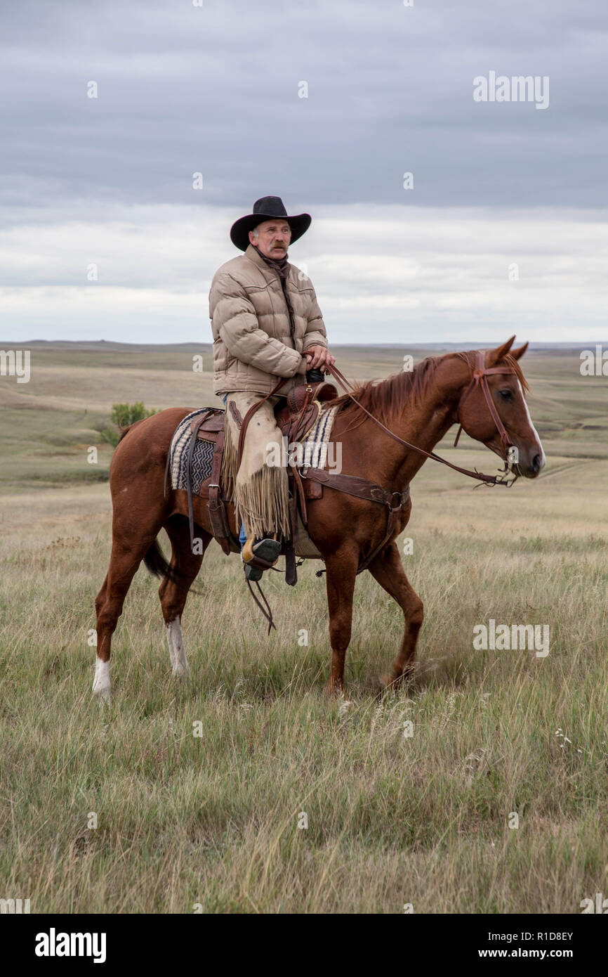 Cowhands hi-res stock photography and images - Alamy