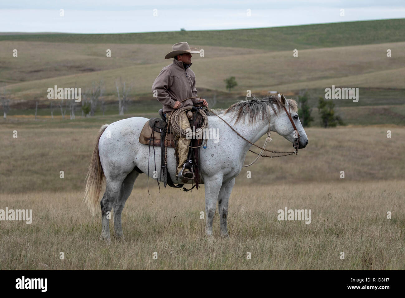 Cowhands hi-res stock photography and images - Alamy