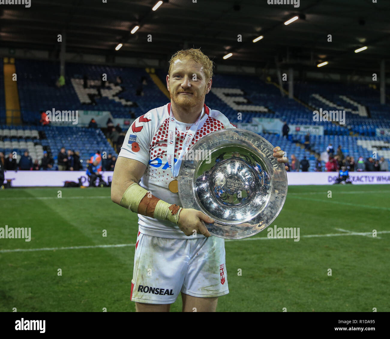 Baskerville shield hi-res stock photography and images - Alamy