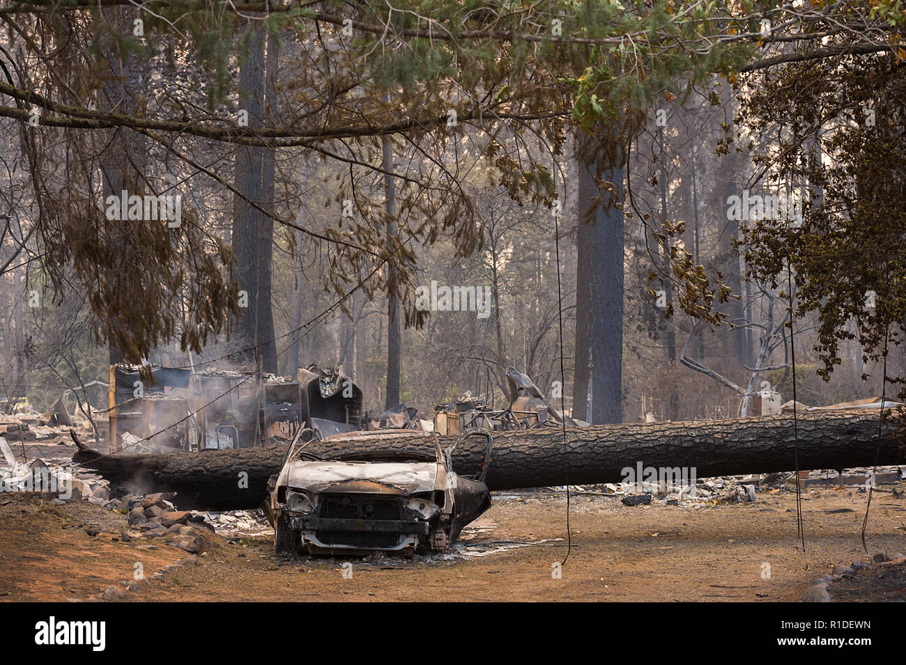 Magalia, CA, USA. 11th Nov, 2018. A tree fell across a car parked ...