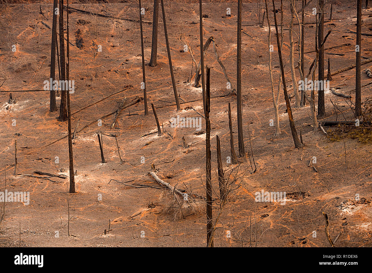 Concow hi-res stock photography and images - Alamy