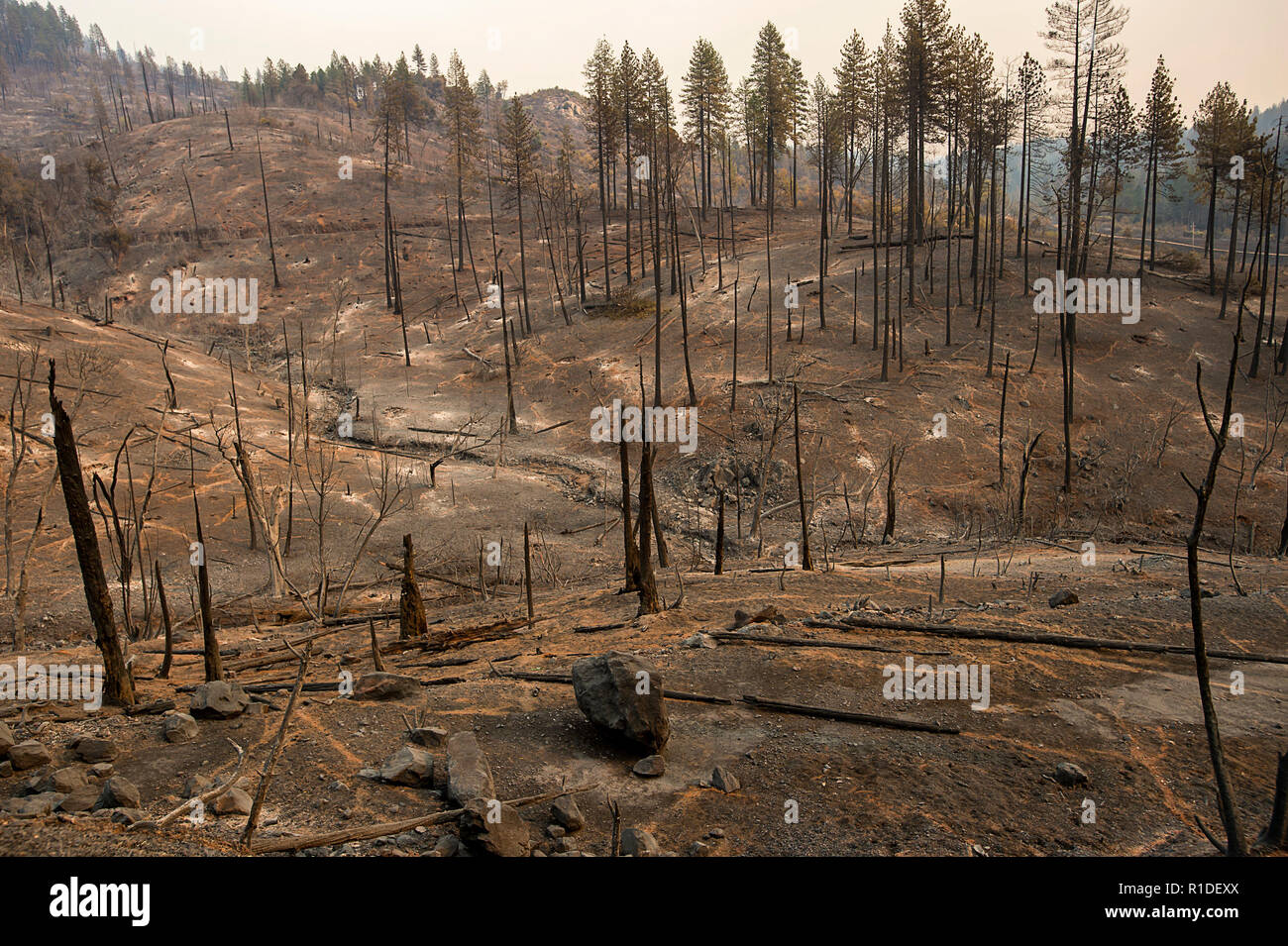 Concow, CA, USA. 11th Nov, 2018. The landscape is denuded after the ...
