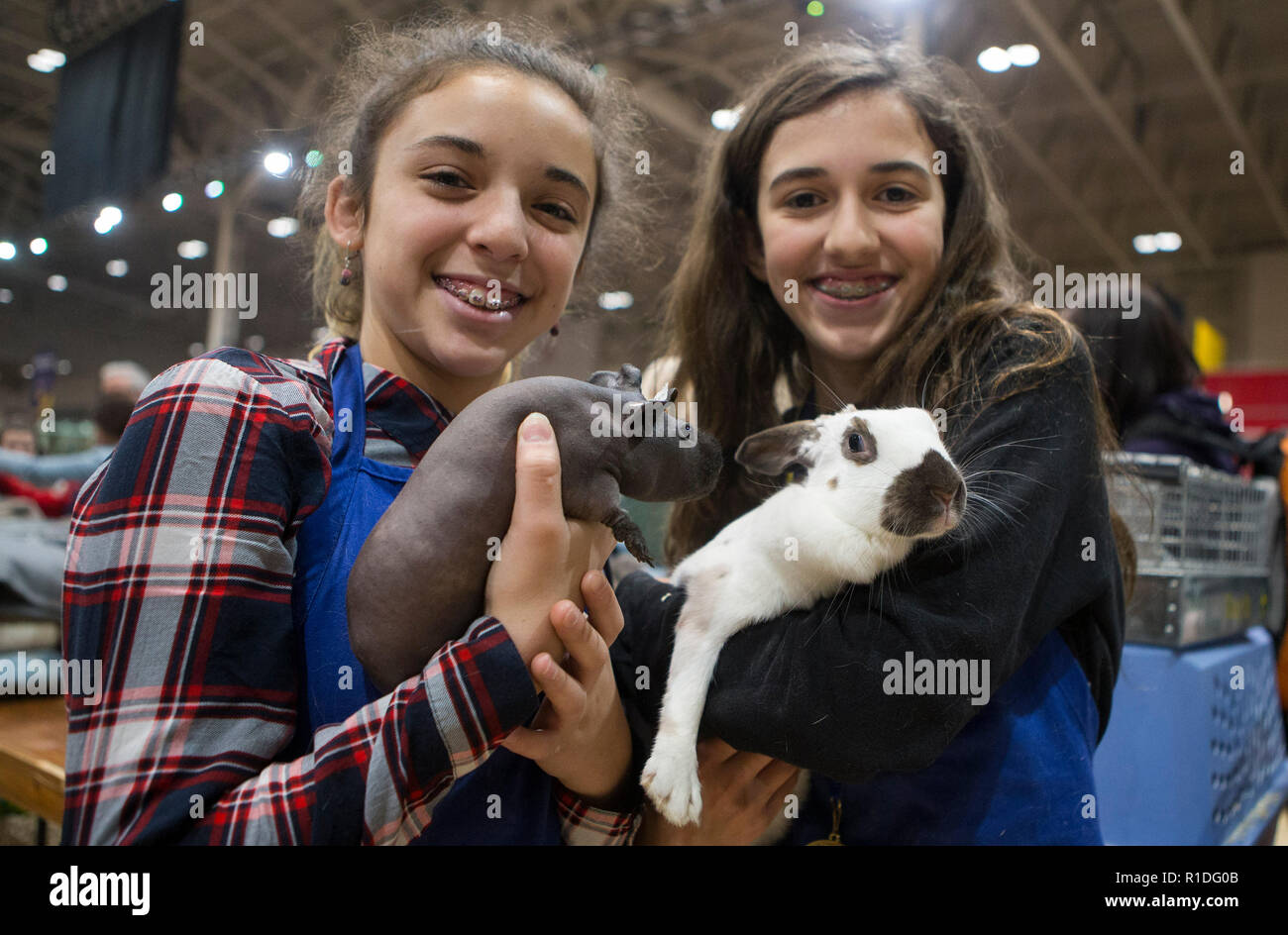 Hundreds of rabbits hi-res stock photography and images - Alamy