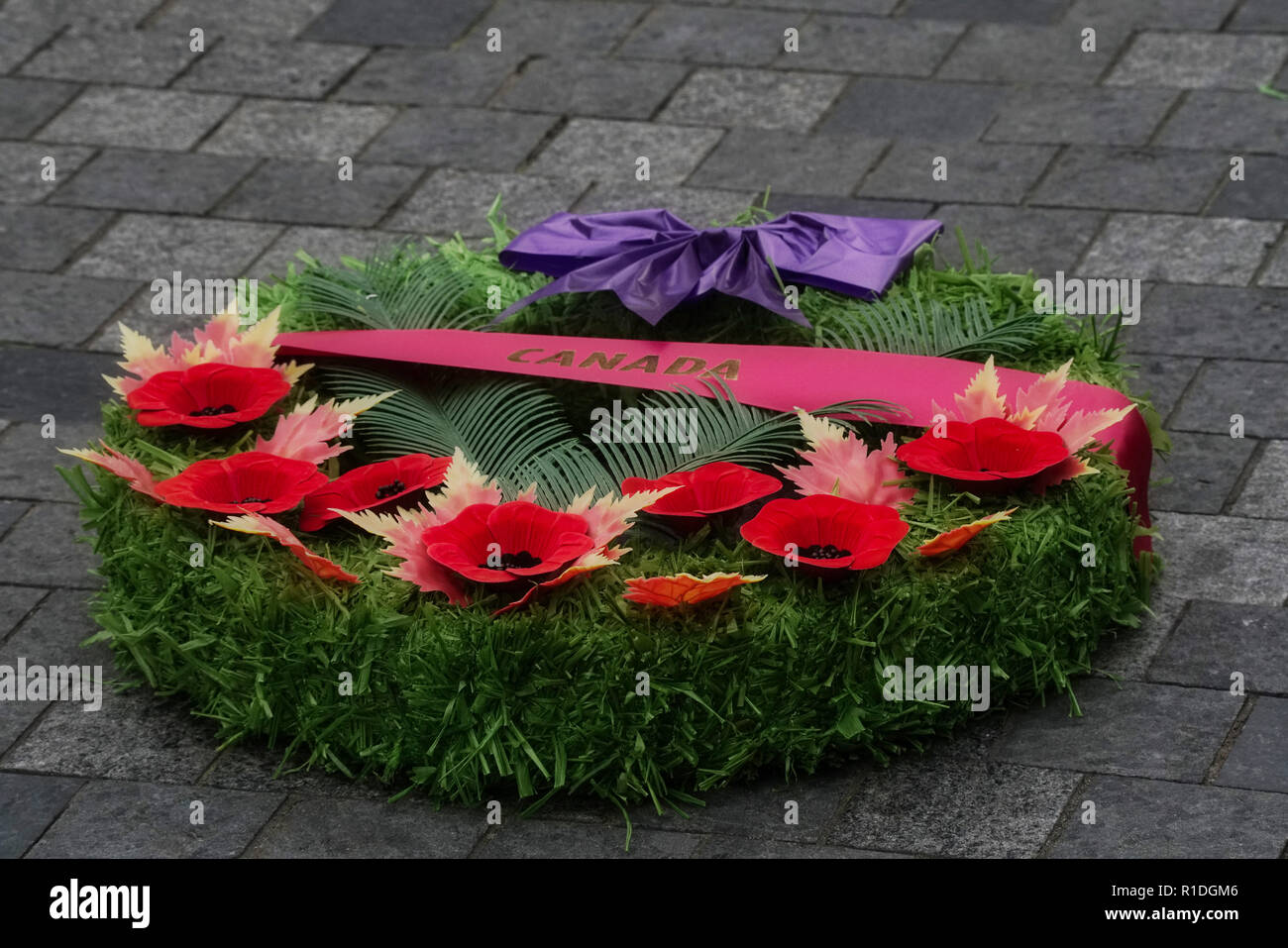Remembrance day wreath hi-res stock photography and images - Alamy