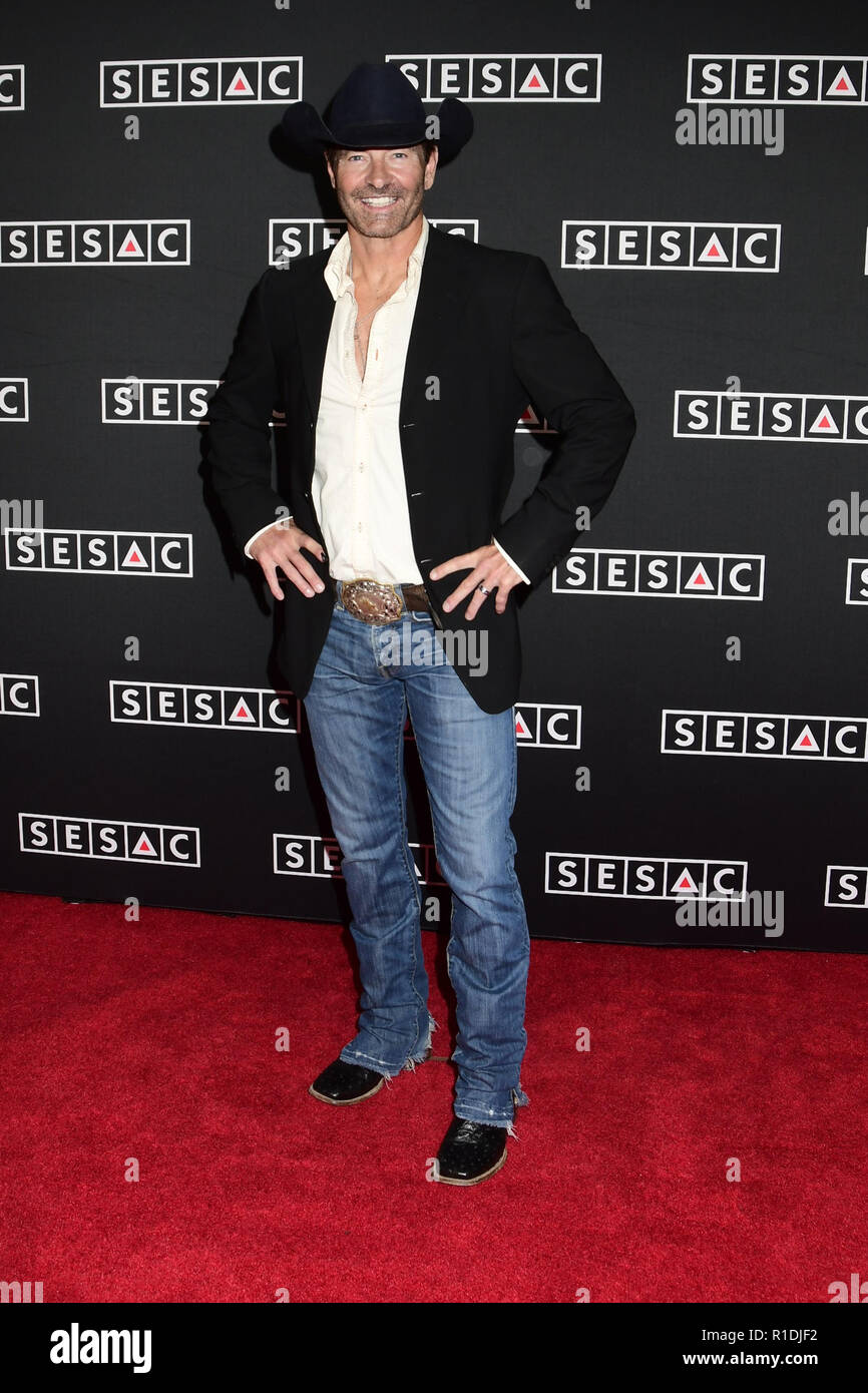 Trick pony hi-res stock photography and images - Alamy