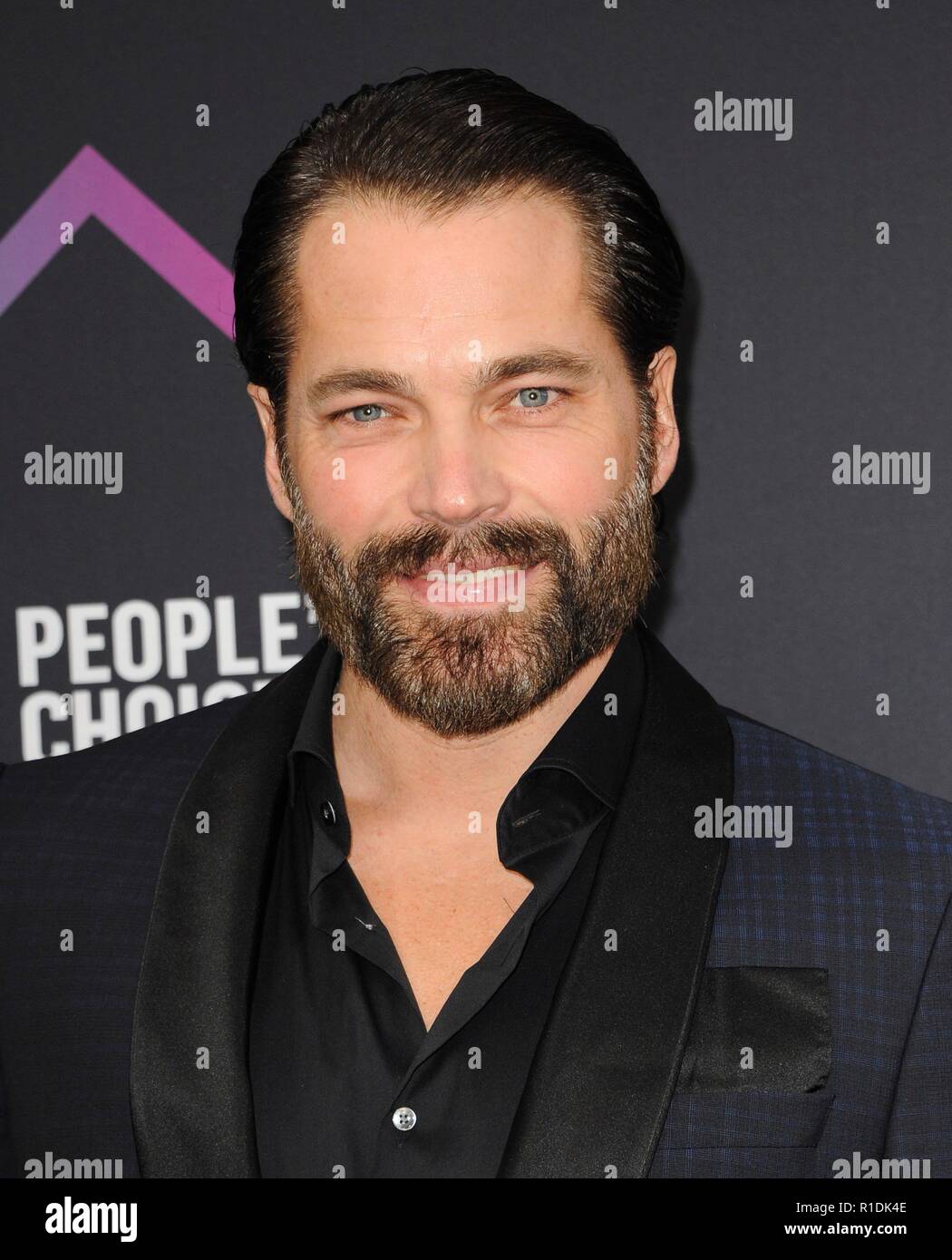 Santa Monica, CA. 11th Nov, 2018. Tim Rozon at arrivals for The E ...