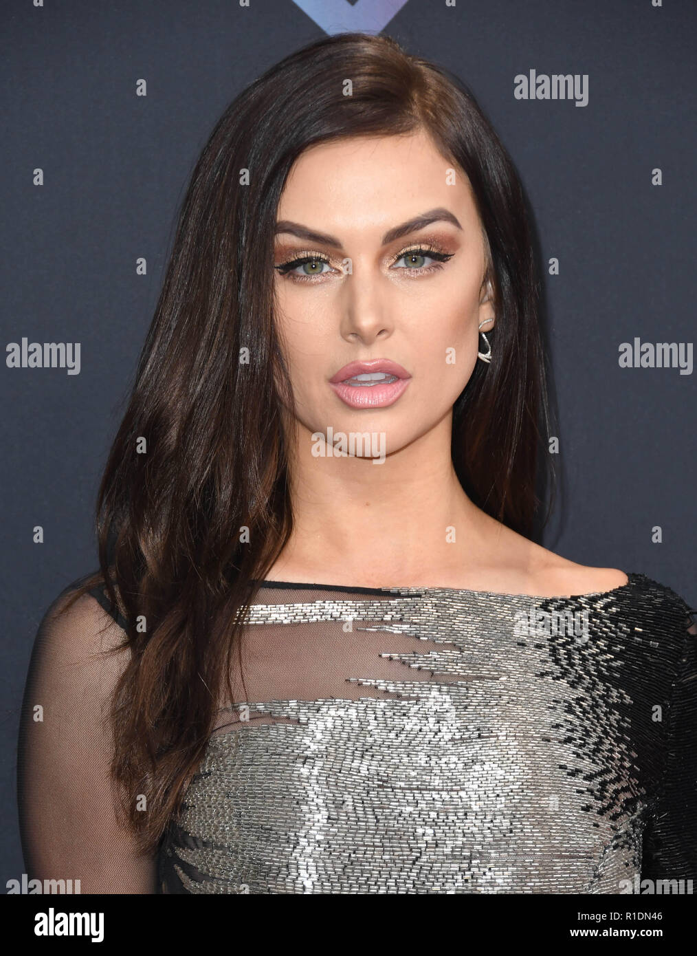 Santa Monica, CA, USA. 11th Nov, 2018. 11 November 2018 - Santa Monica ...