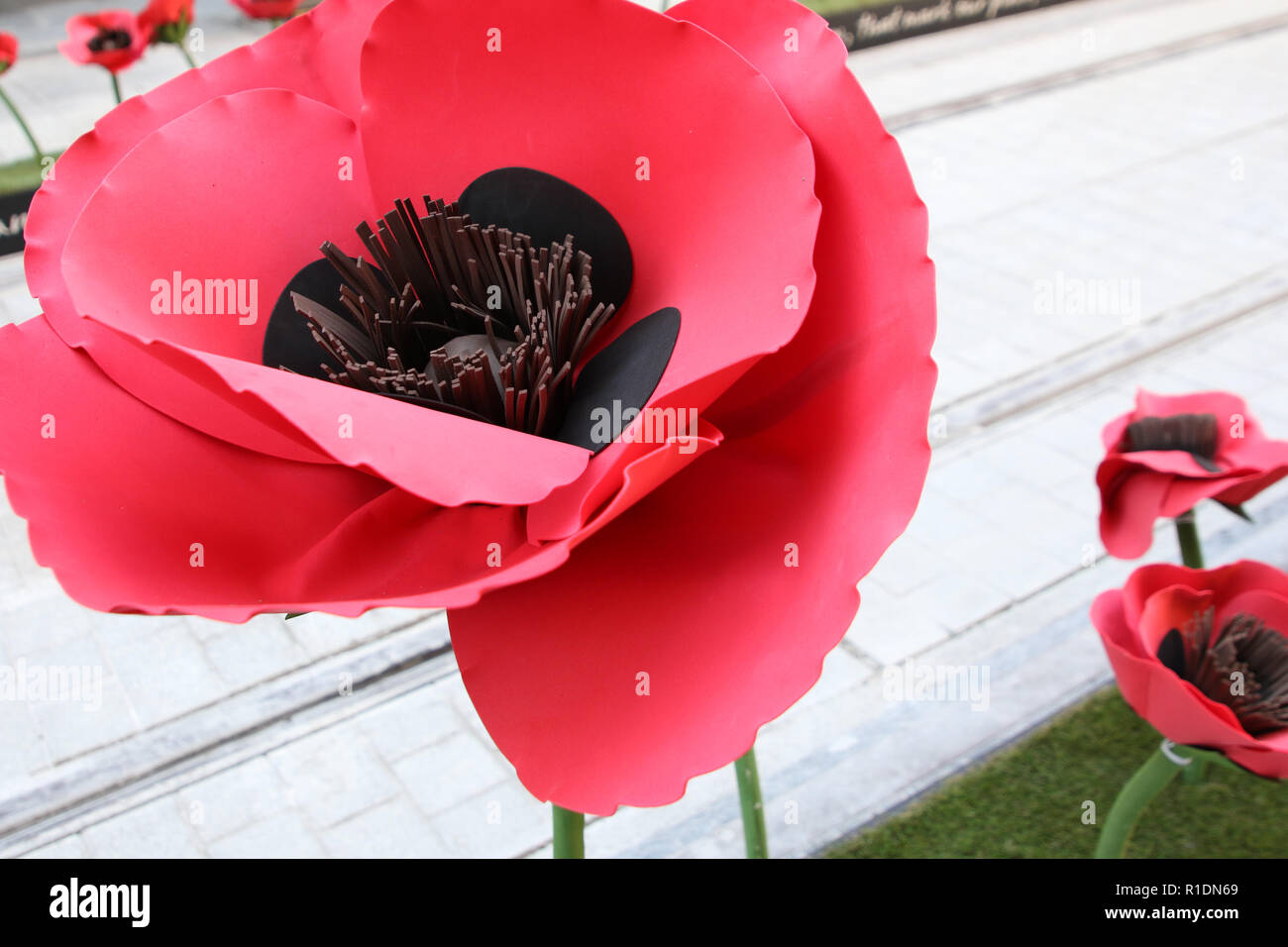 Ww1 100 year commemorations hi-res stock photography and images - Alamy