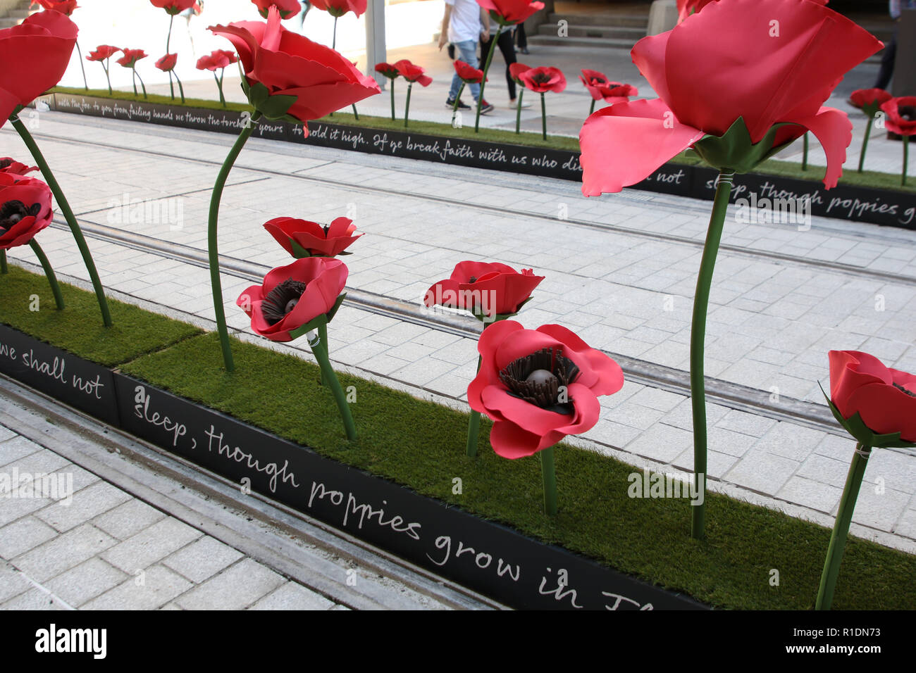 Ww1 100 year commemorations hi-res stock photography and images - Alamy