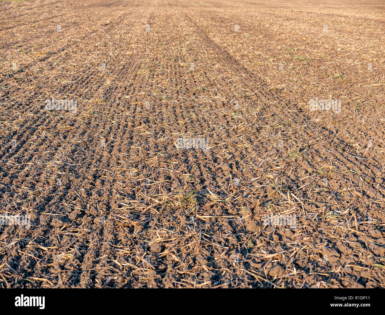 Farm failure hi-res stock photography and images - Alamy