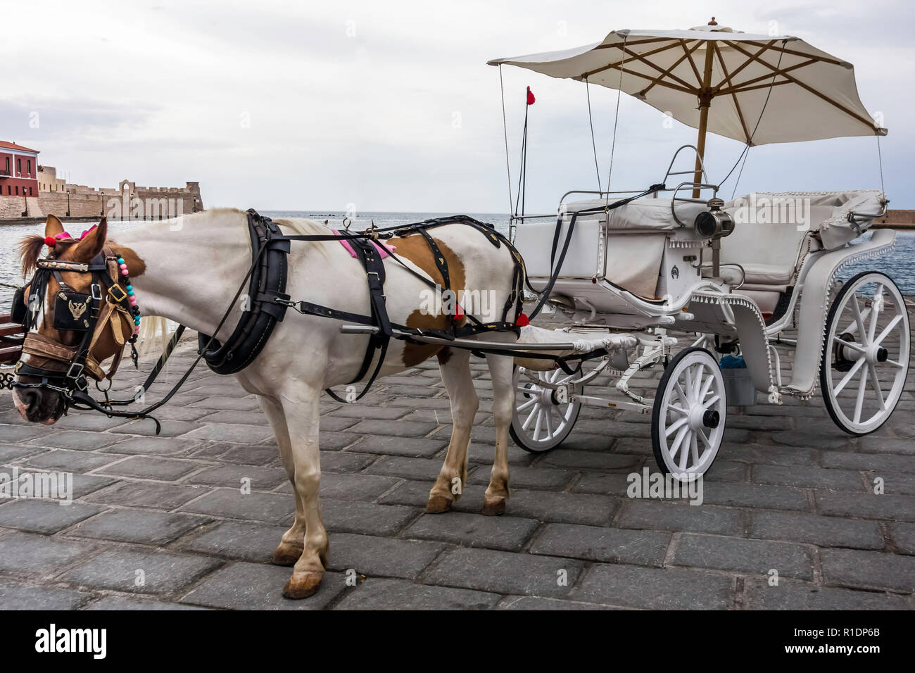 Horse-drawn carriage with horse Stock Photo - Alamy