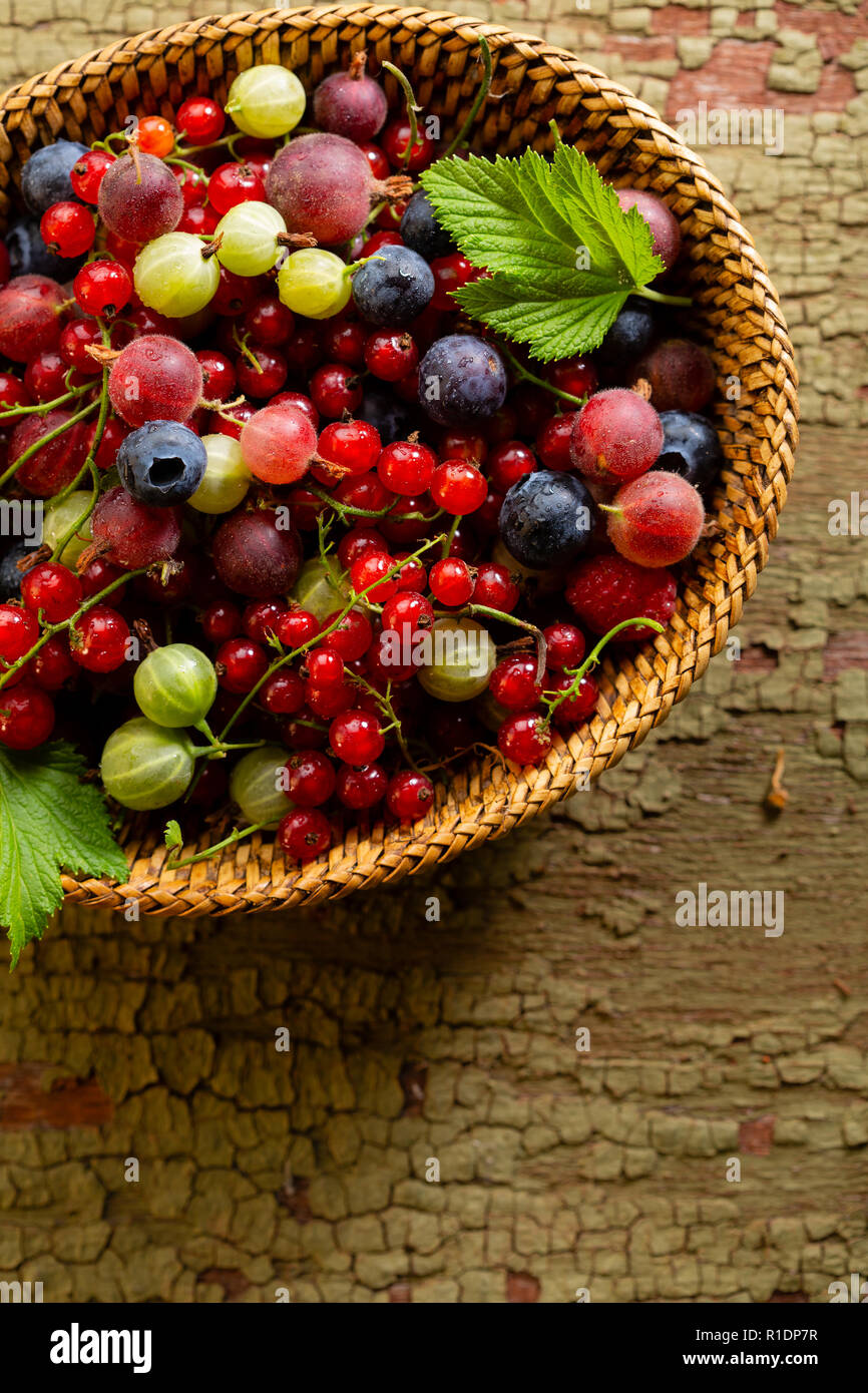 Season berry hi-res stock photography and images - Alamy