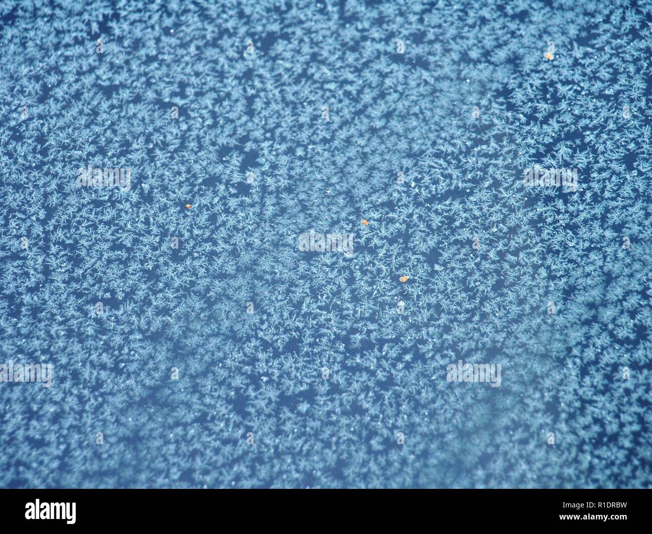 Ice crystals on the windshield of a car. Frost. Texture Stock Photo - Alamy
