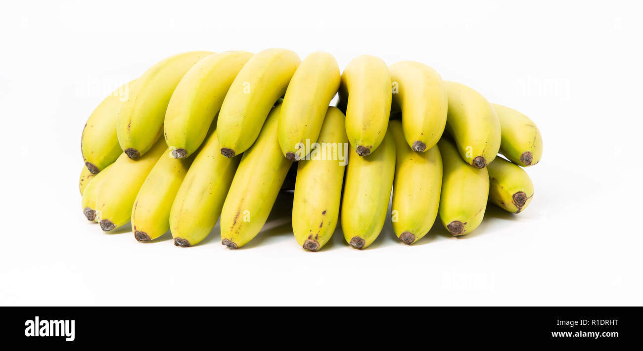 Lady finger bananas (Musa acuminata) isolated on white background Stock ...
