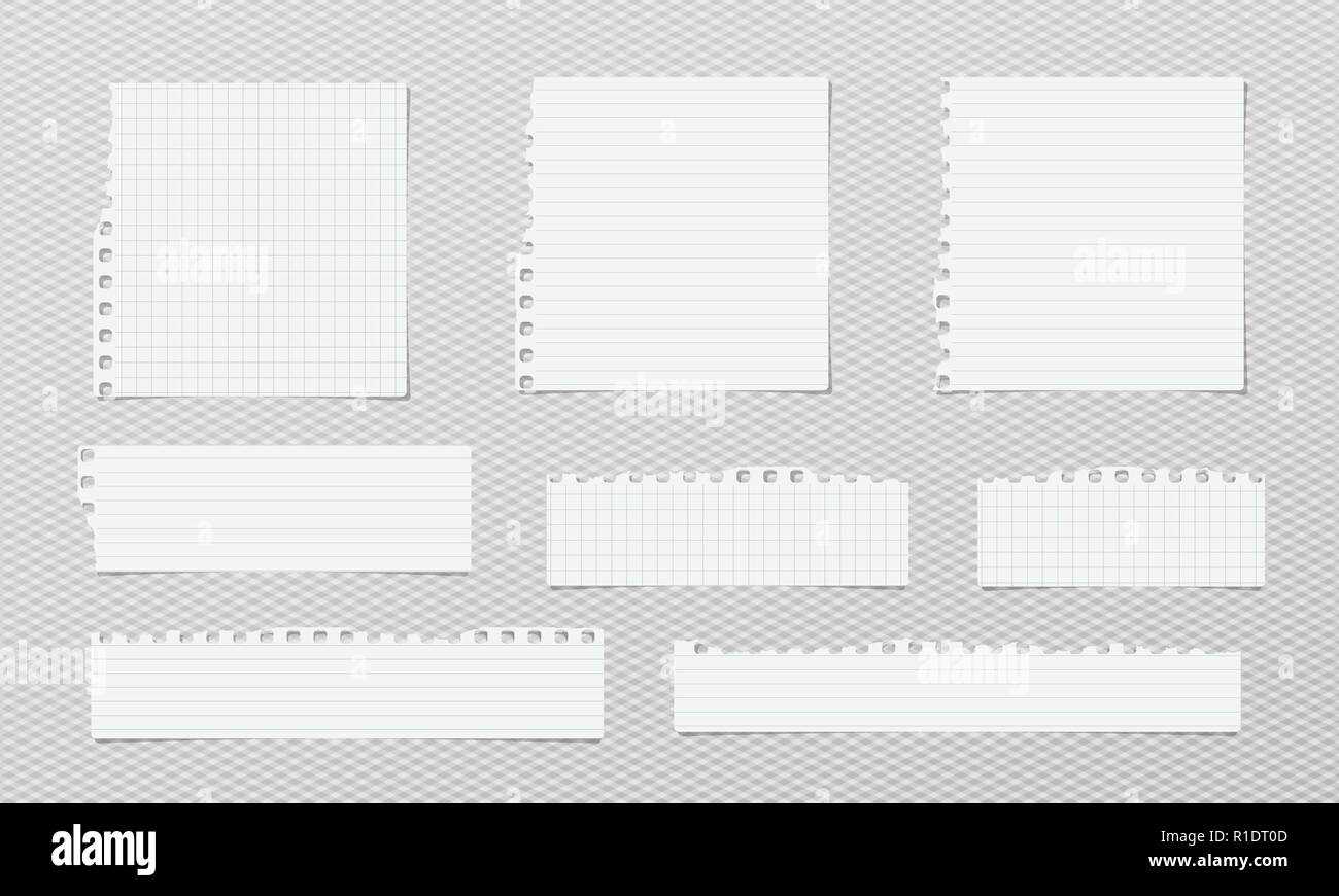 White lined note, notebook paper strips with torn edges stuck on grey ...