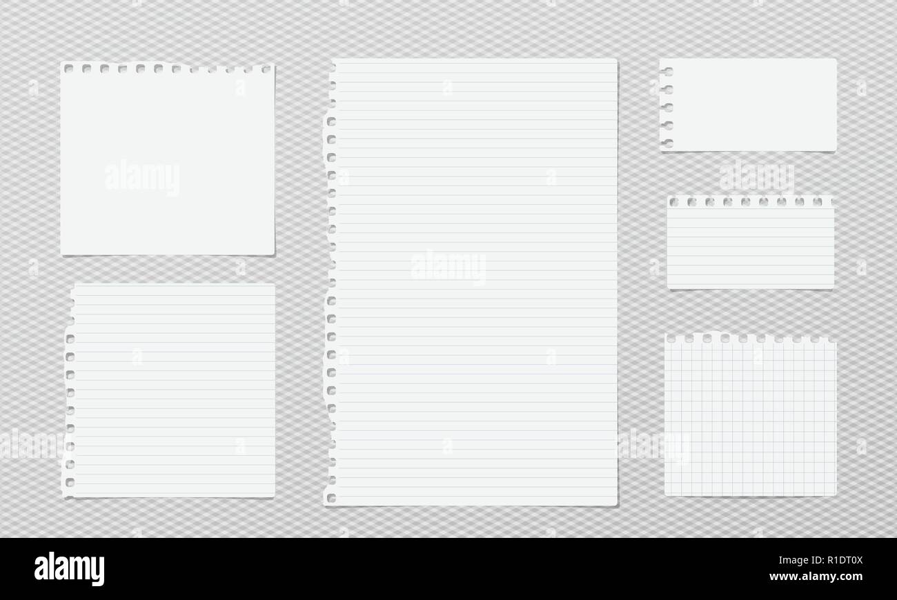 White lined note, notebook paper strips with torn edges stuck on grey ...