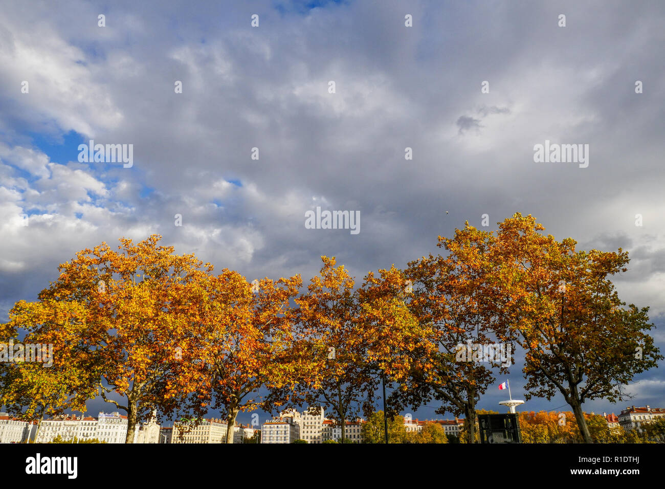 Autumn light, Lyon, France Stock Photo - Alamy