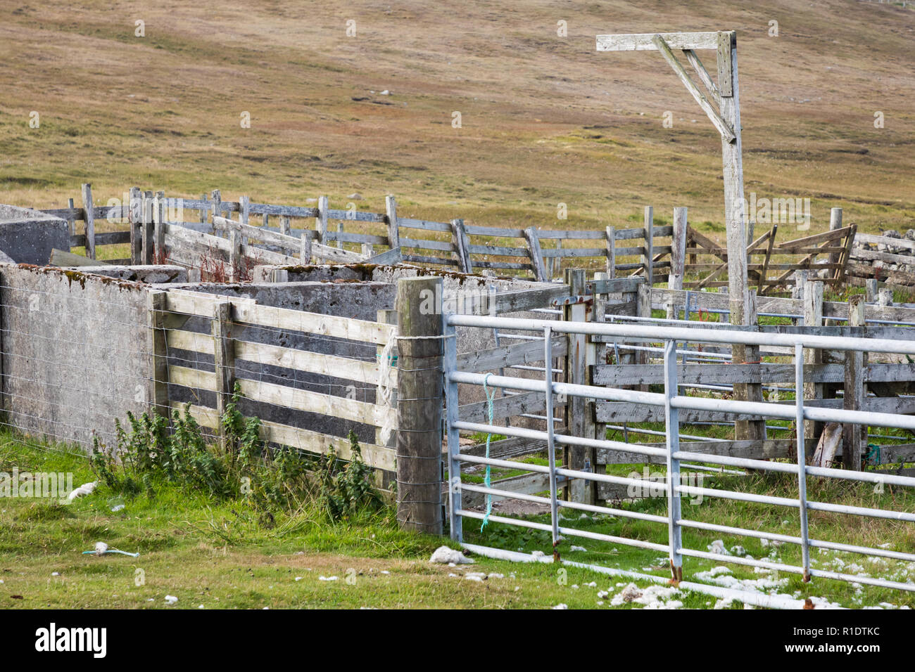 Sheep fold hi-res stock photography and images - Alamy