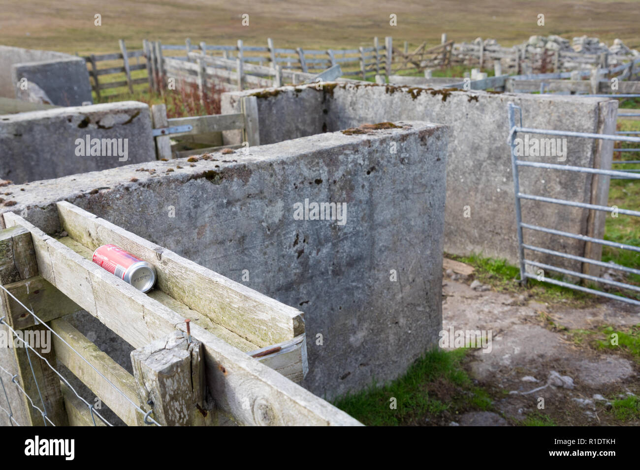 Sheep fold hi-res stock photography and images - Alamy