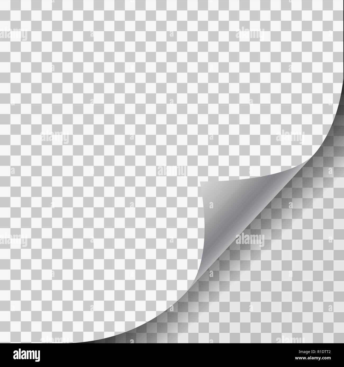 Realistic illustration of a blank white page with curled corner and ...