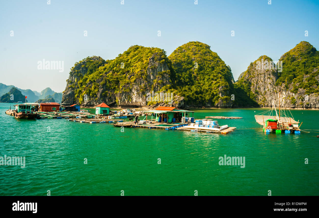 Floating village in Halong Bay, Vietnam Stock Photo - Alamy