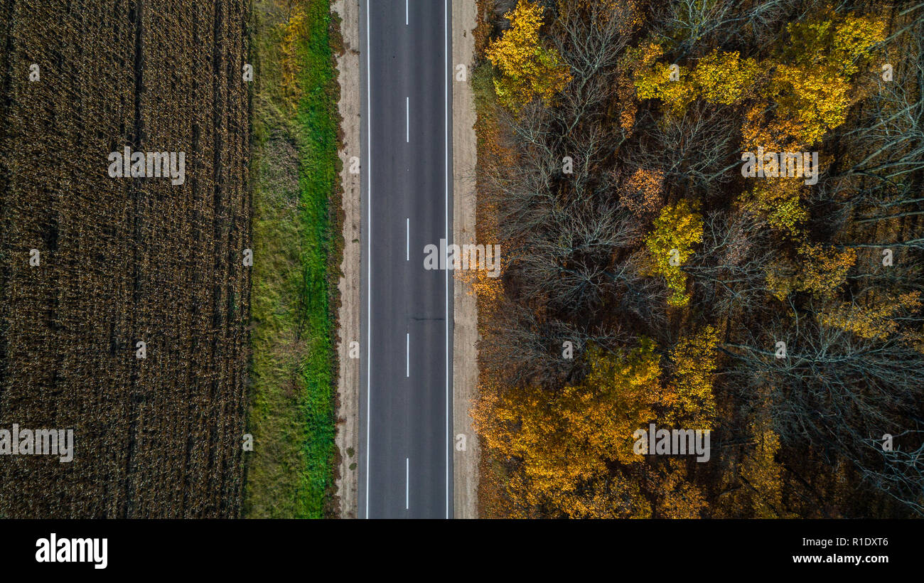 Aerial view of road in autumn forest at sunset. Amazing landscape with ...