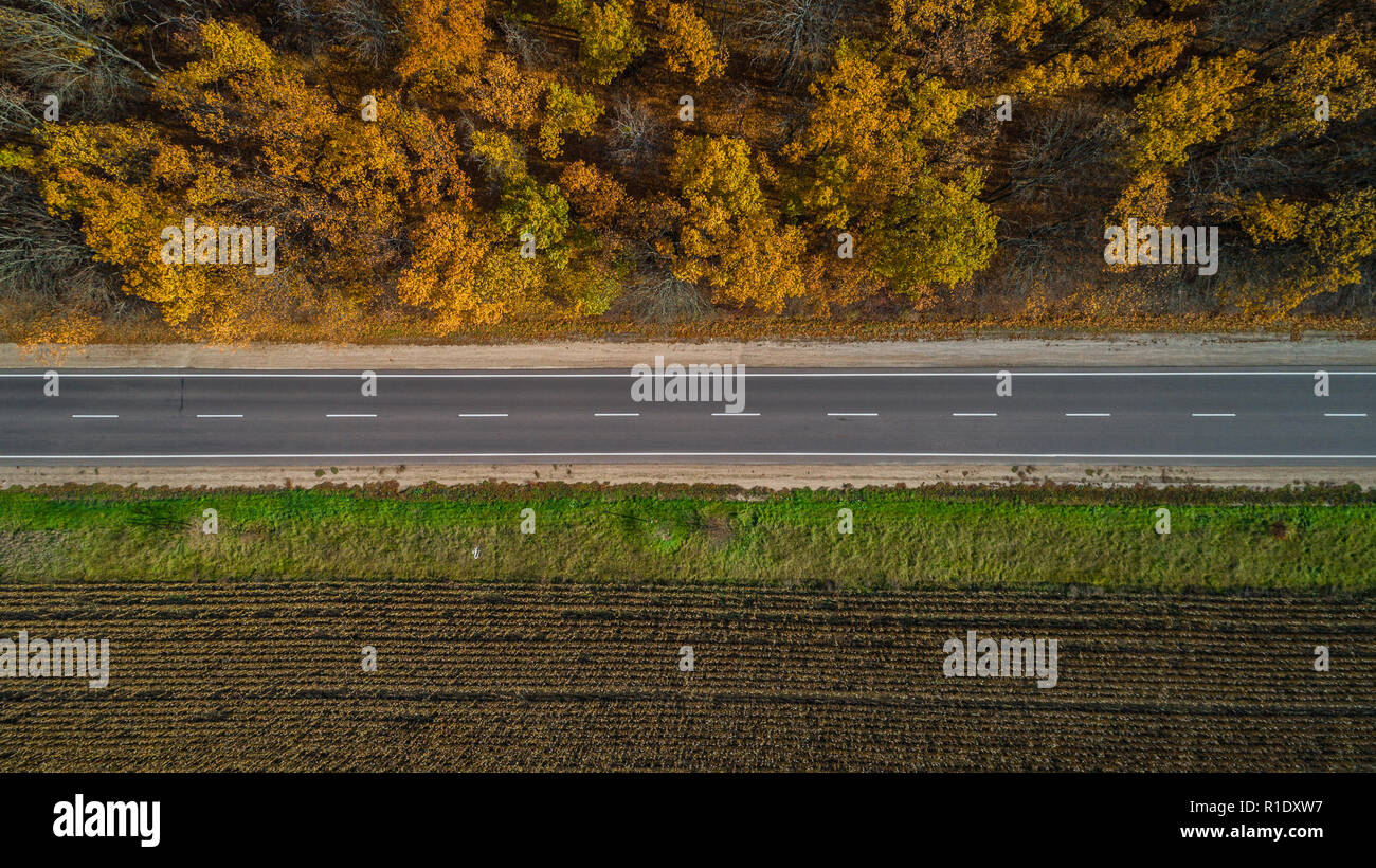 Aerial view of road in autumn forest at sunset. Amazing landscape with ...
