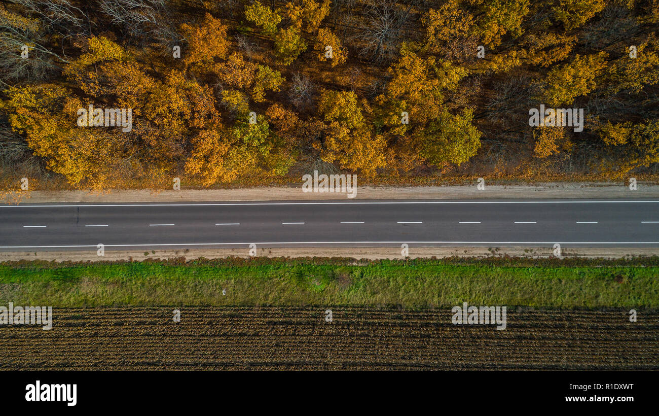 Aerial view of road in autumn forest at sunset. Amazing landscape with ...