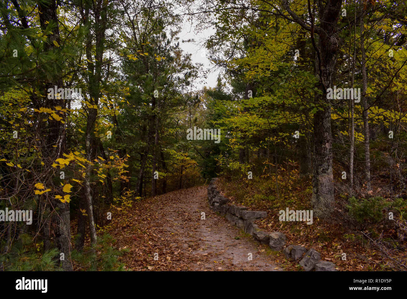 Forest trail, Lumbermans Monument. Taken on a peaceful fall day in ...