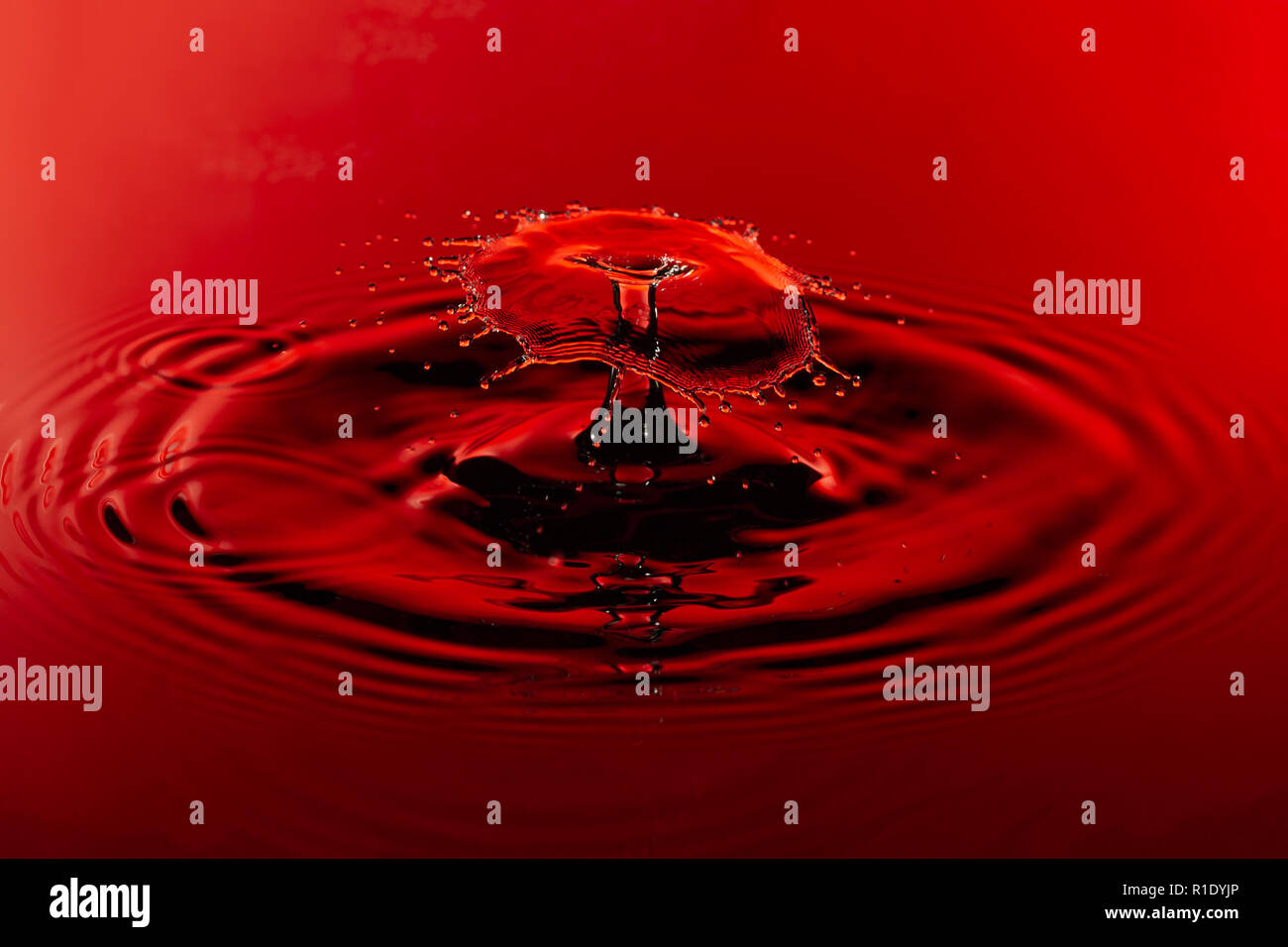 Red Water Droplet Splash Close Up Stock Photo - Alamy