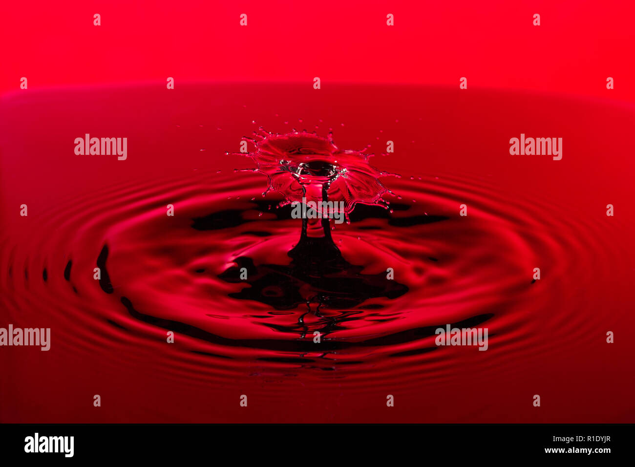 Red Water Droplet Splash Close Up Stock Photo - Alamy