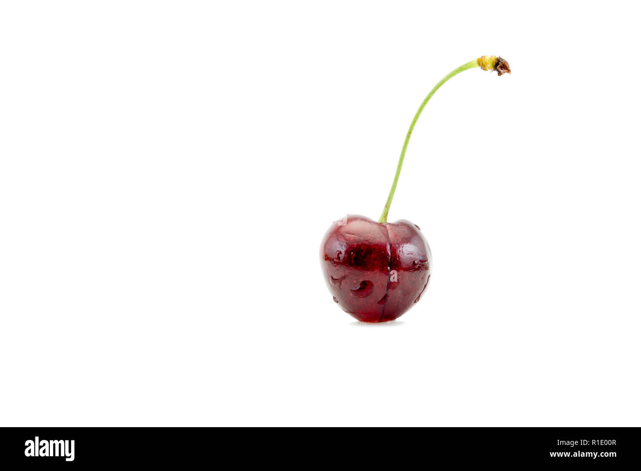 One cherry close up isolated on white background Stock Photo - Alamy