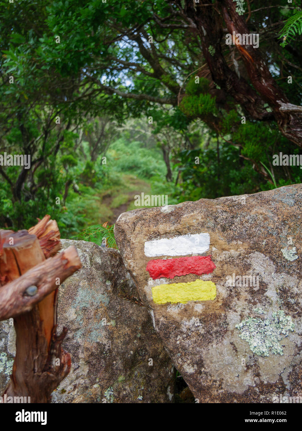 Path hiking pathway marking nature hi-res stock photography and images ...