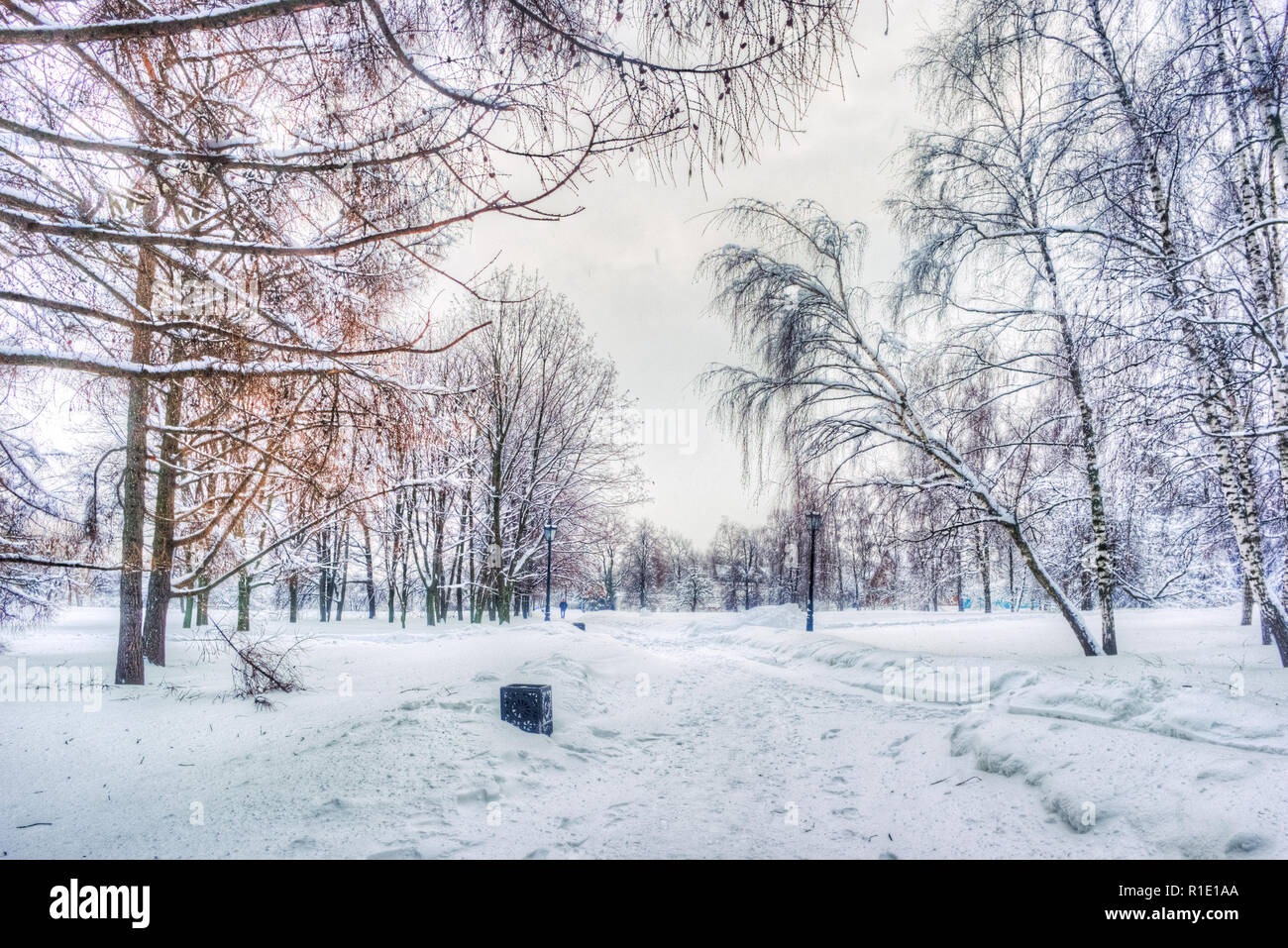 Beautiful Russian winter Stock Photo - Alamy