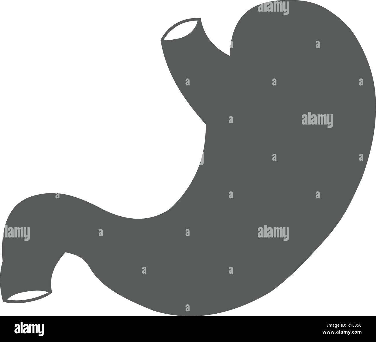 Stomach icon. Vector simple illustration of stomach icon isolated on ...