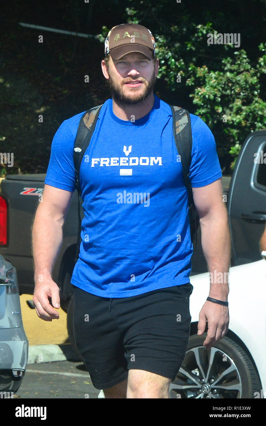 Chris Pratt looks very muscular after a 5 hour workout session with his ...