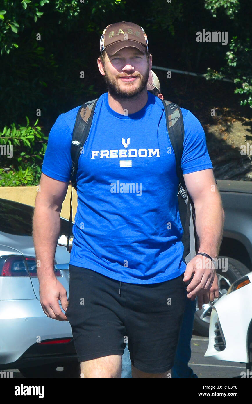 Chris Pratt looks very muscular after a 5 hour workout session with his ...