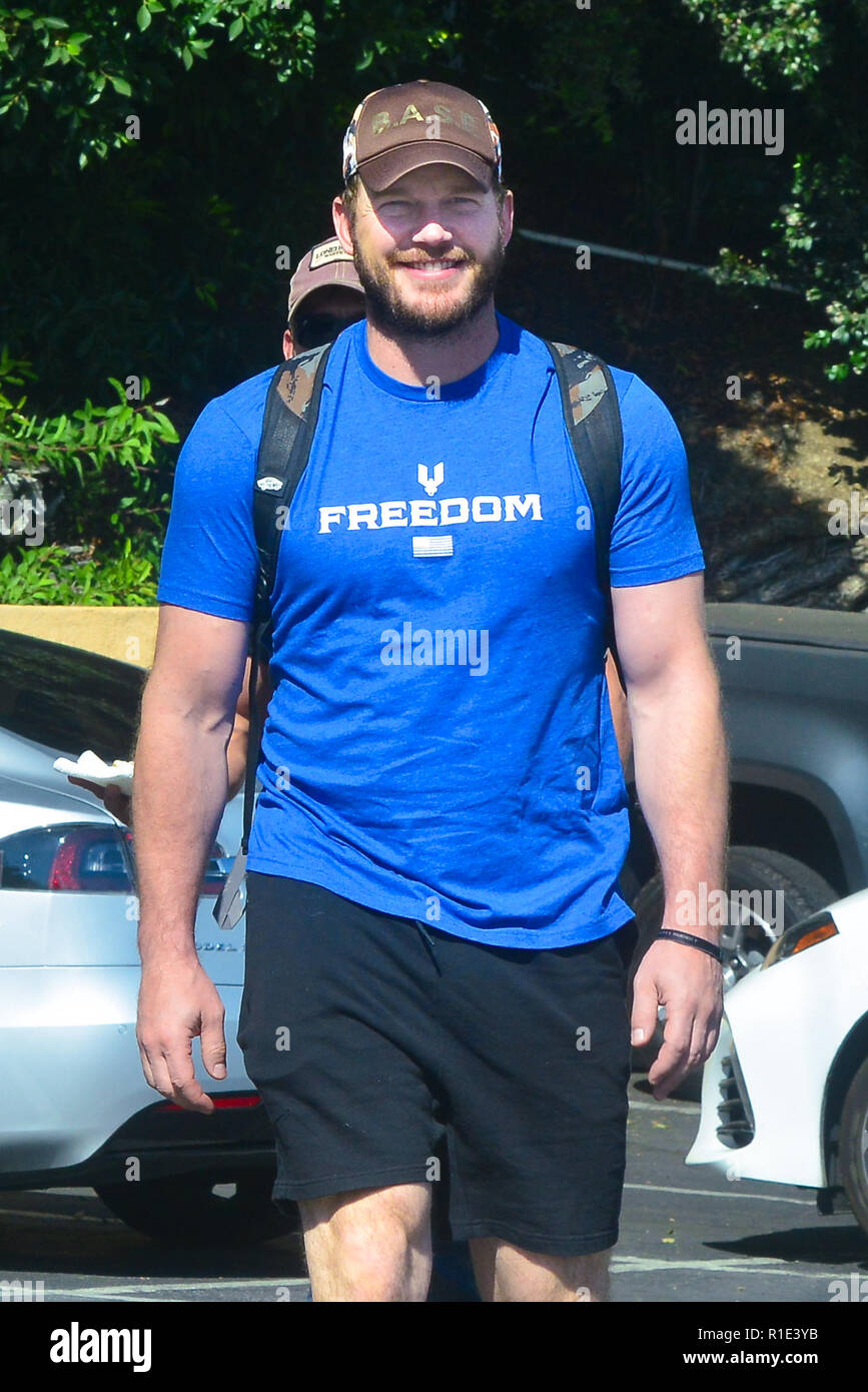 Chris Pratt looks very muscular after a 5 hour workout session with his ...