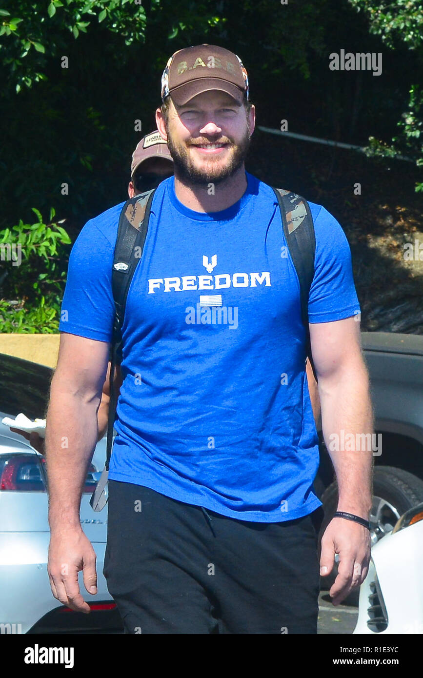Chris Pratt looks very muscular after a 5 hour workout session with his ...