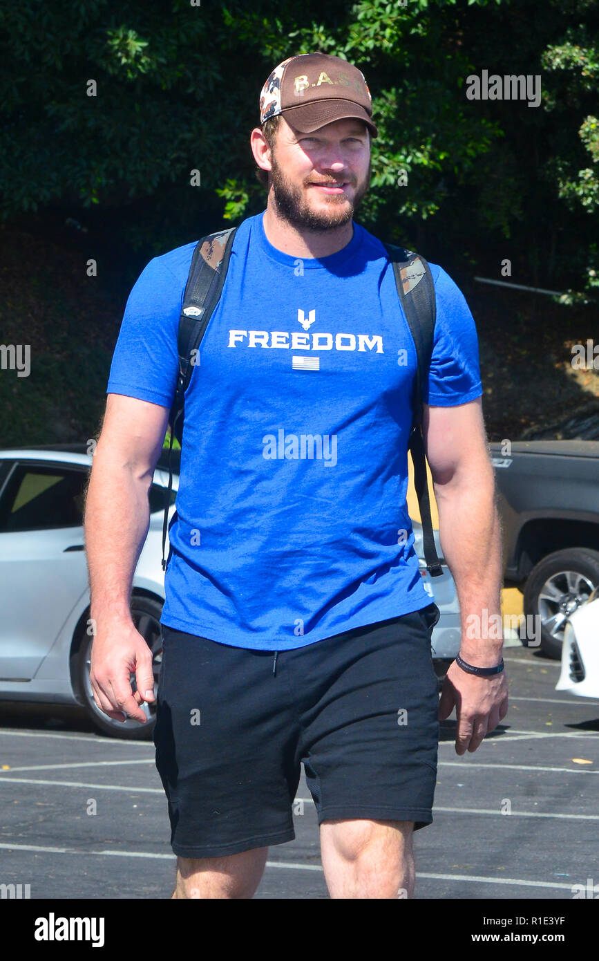 Chris Pratt looks very muscular after a 5 hour workout session with his ...