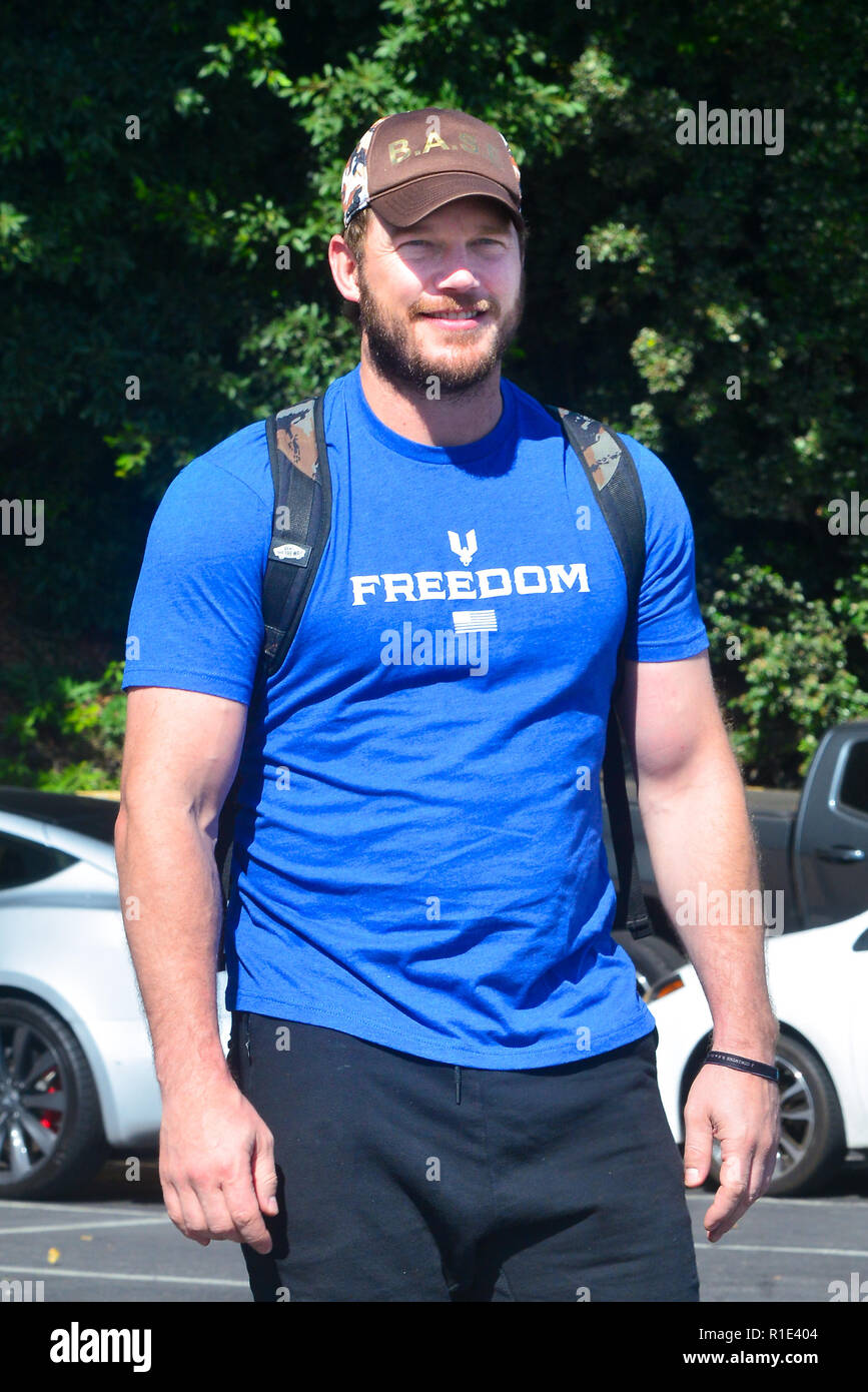 Chris Pratt looks very muscular after a 5 hour workout session with his ...