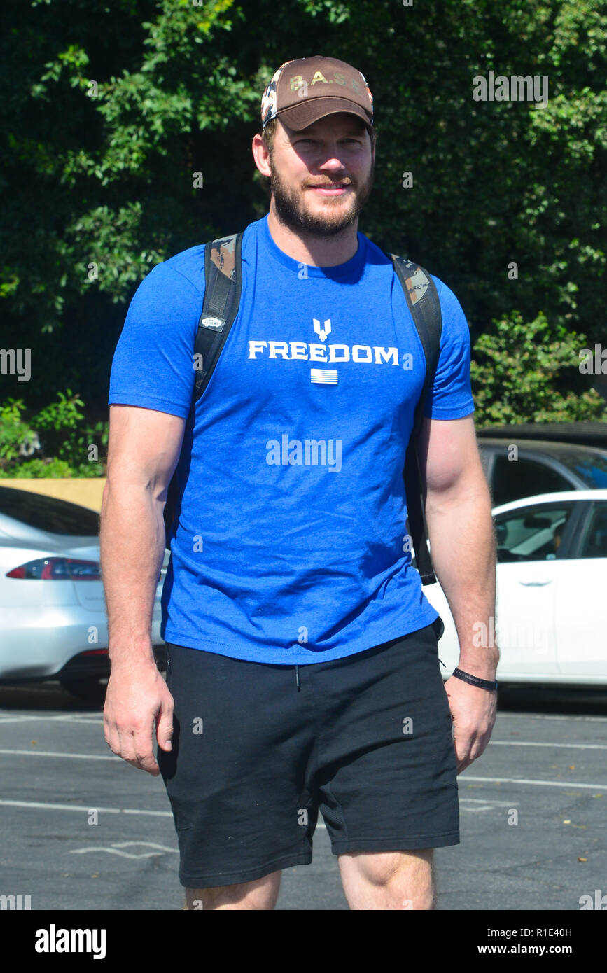 Chris Pratt looks very muscular after a 5 hour workout session with his ...