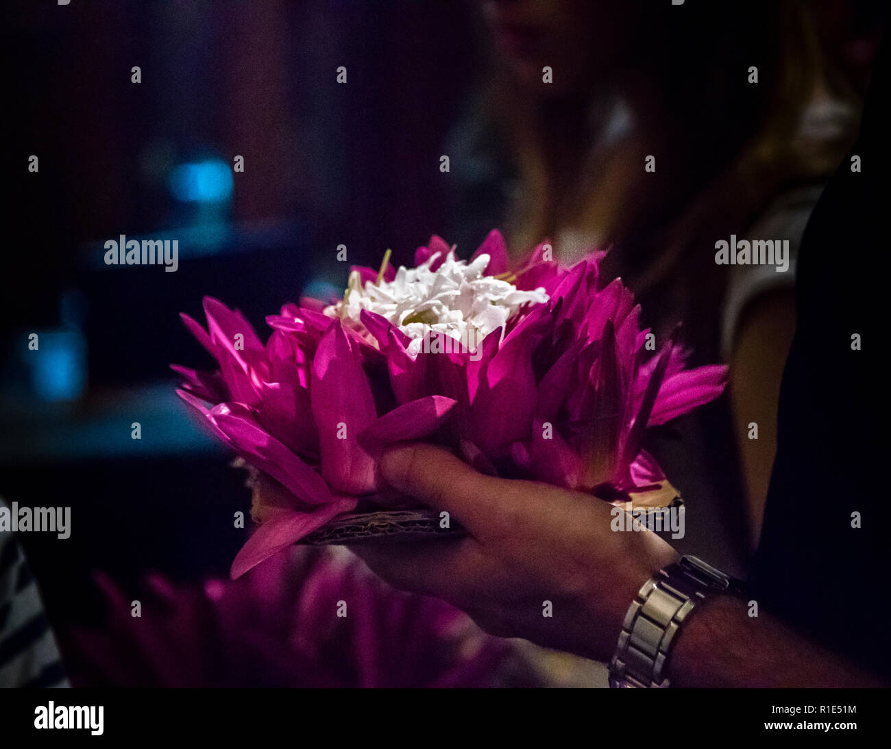 Tempel Flower in Sri Lanka. The Buddhist believers symbolize their ...