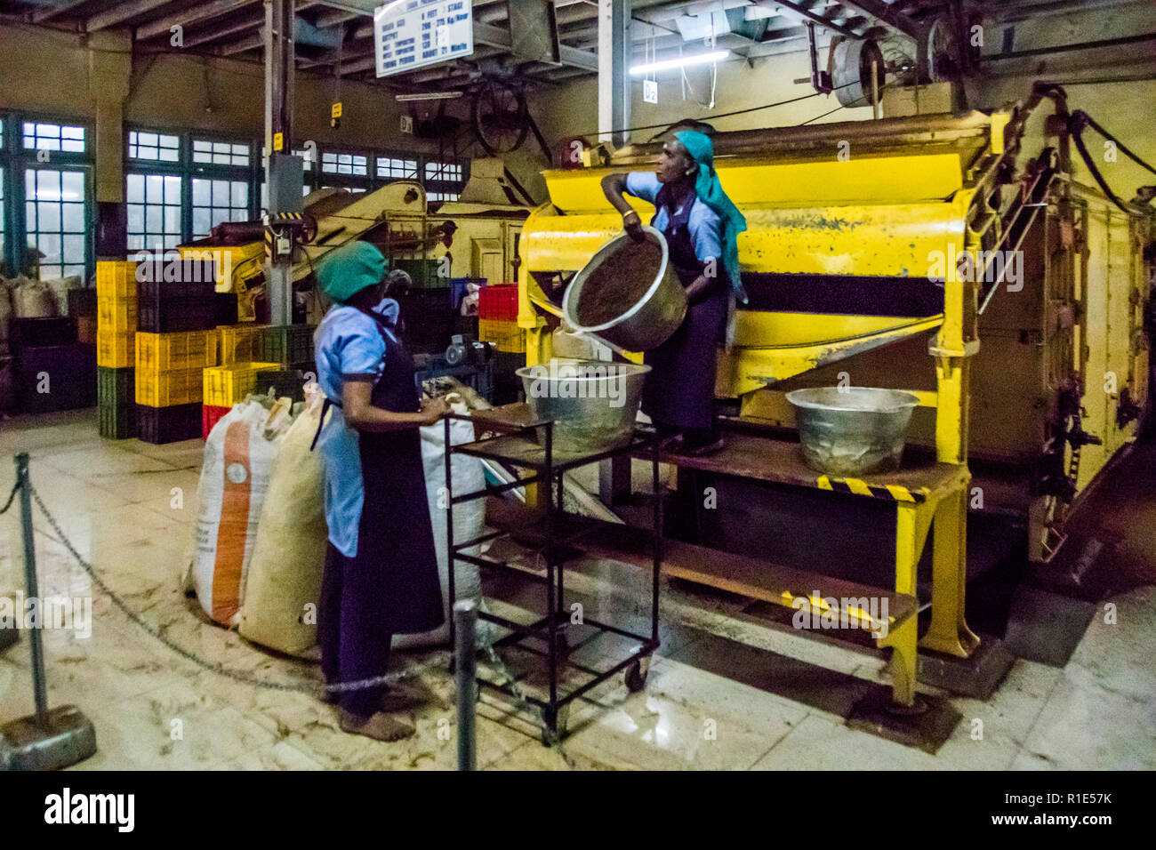 Blue field tea gardens tea factory Stock Photo - Alamy