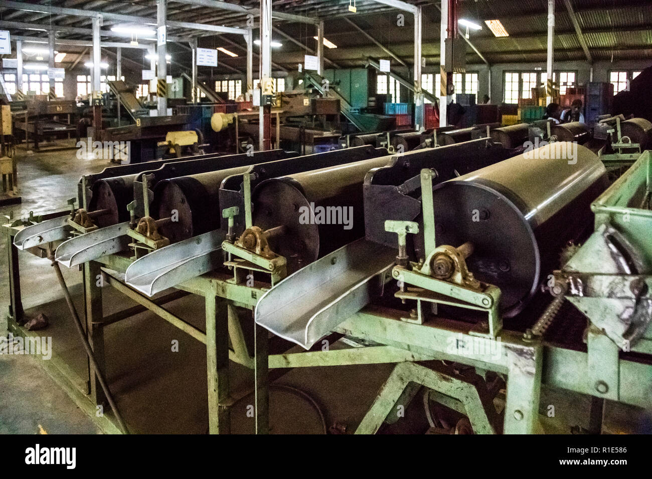 Blue field tea gardens tea factory Stock Photo - Alamy