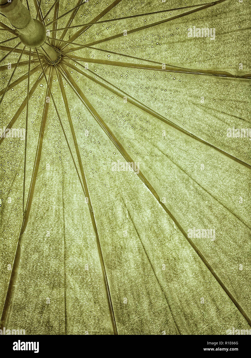 Inside umbrella hi-res stock photography and images - Alamy
