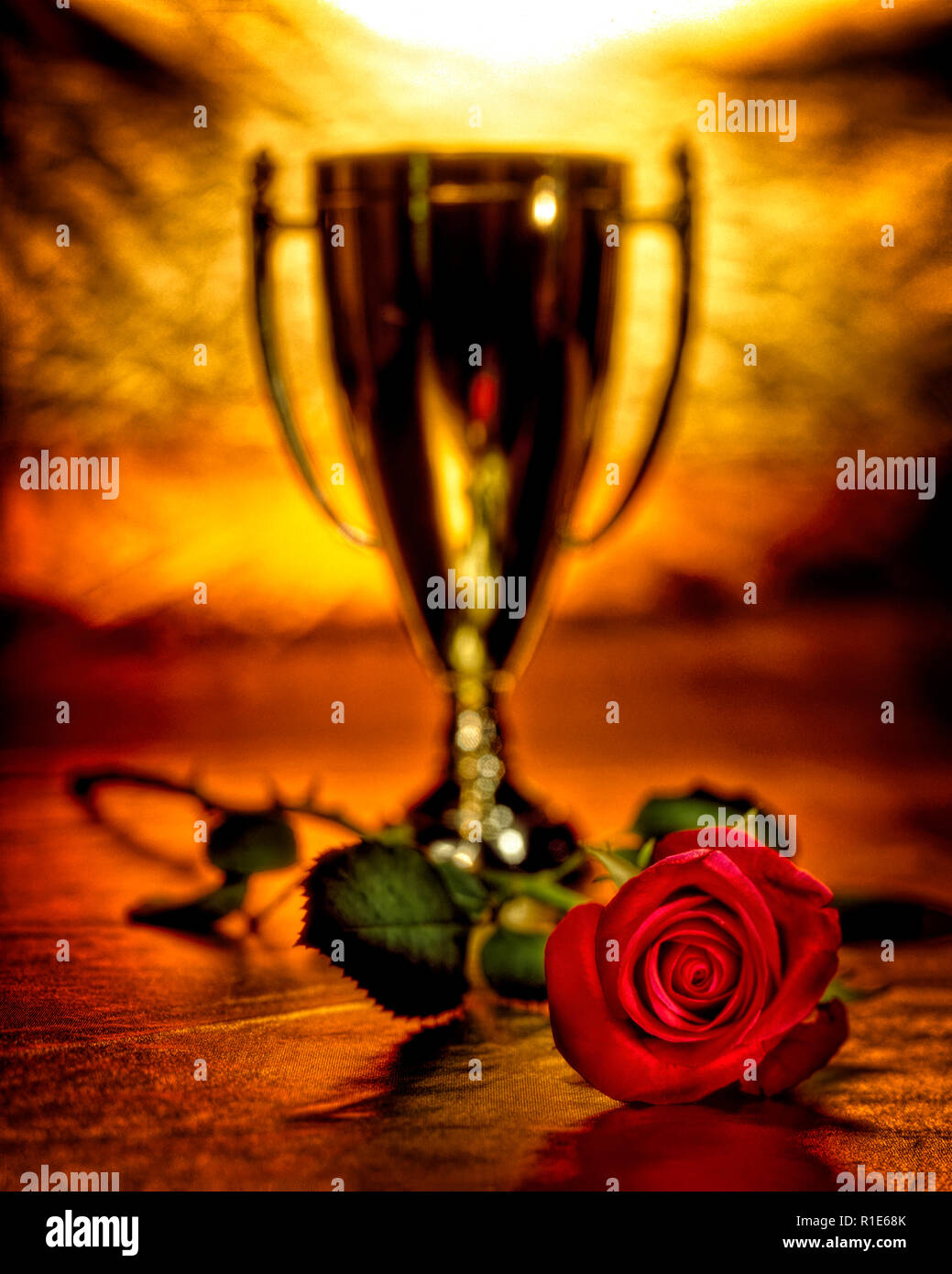 Trophy and Rose Stock Photo - Alamy