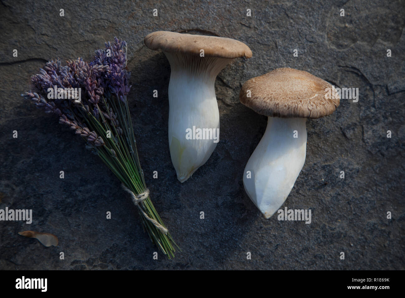 Mushrooms with lavender in a black tile Stock Photo - Alamy