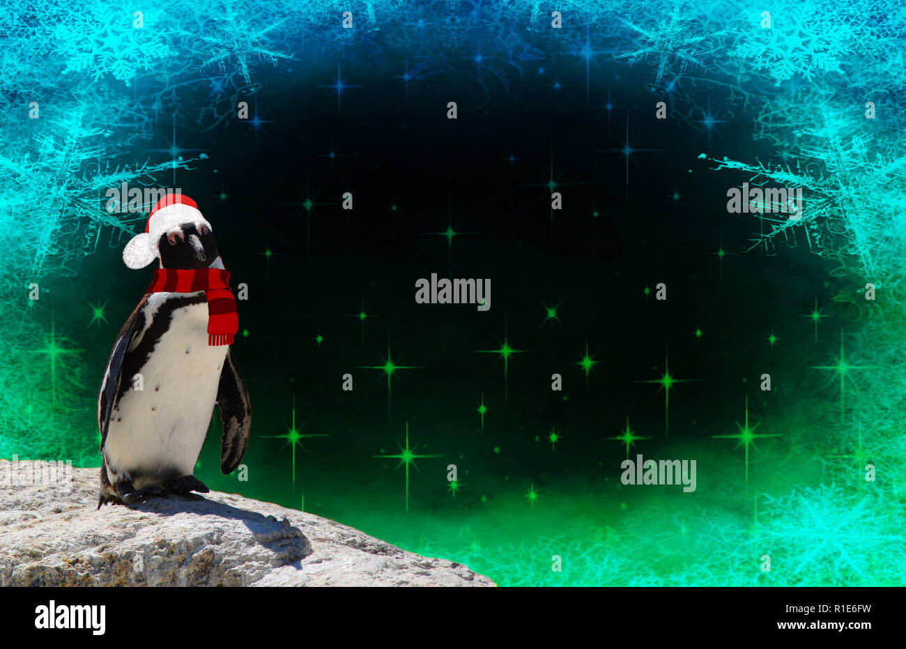 Merry christmas a funny penguin dressed in a shawl and santa claus ...
