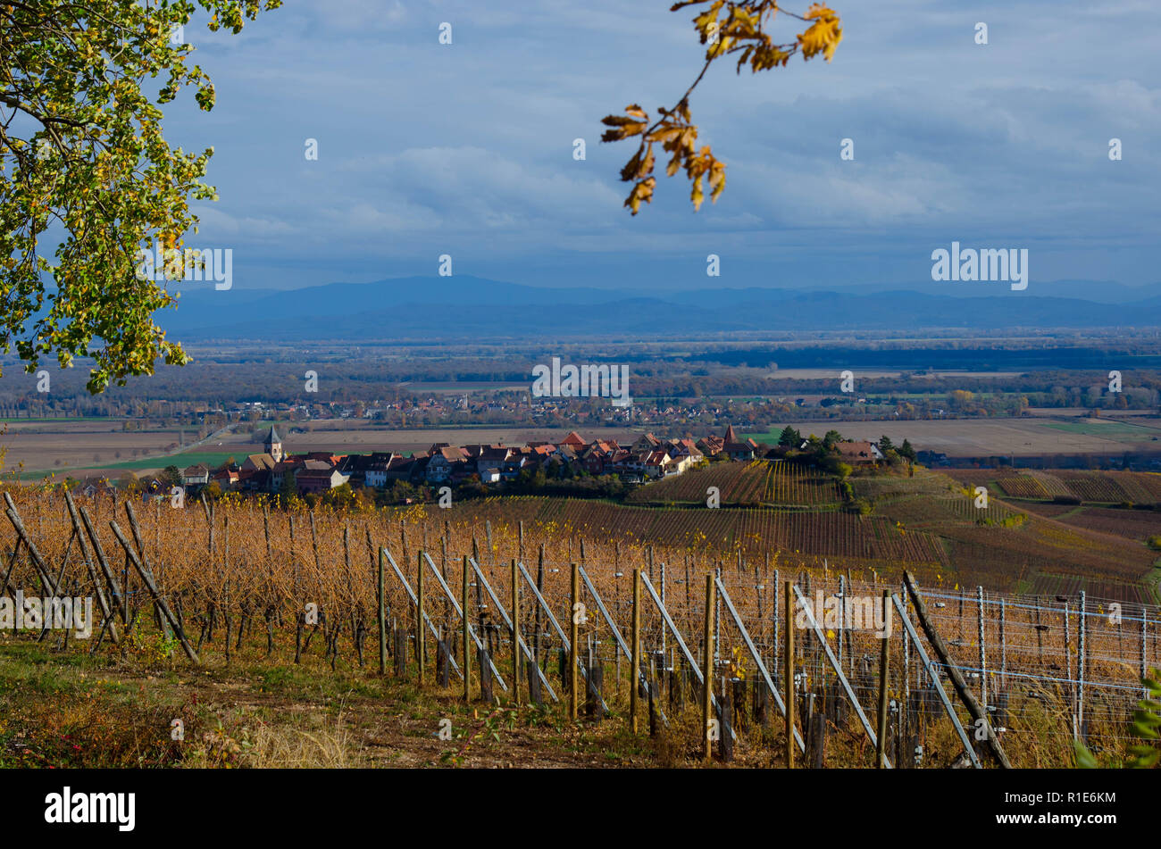 the beautiful village of zellenberg in alsace in late autumn Stock ...